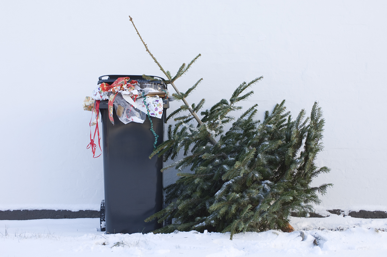 Reduce Holiday Waste | City of Alexandria, VA